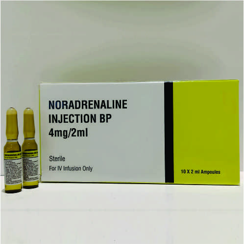 Leading noradrenaline bp 4mg/2ml injection Manufacturer and Exporter in ...